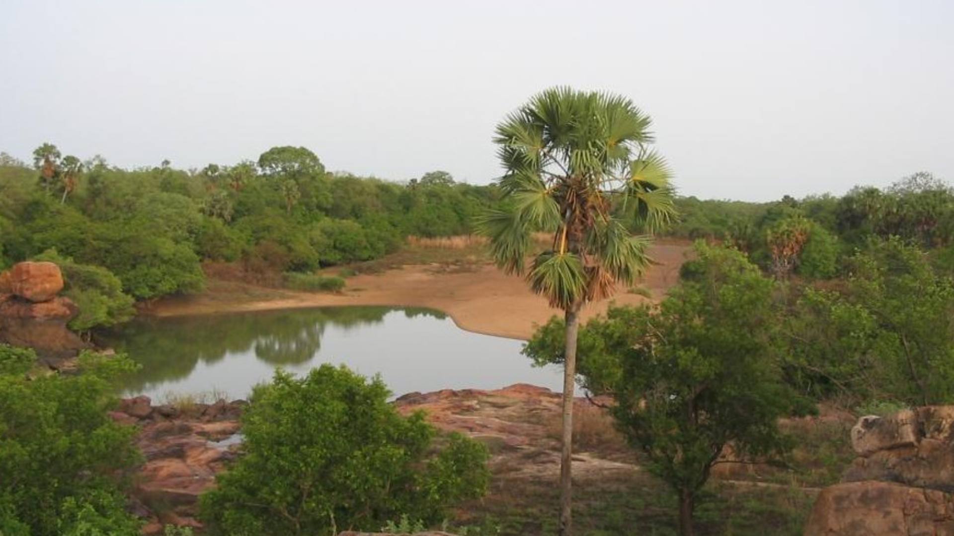 Bénin – Burkina Faso : le sacrifice des espaces protégés au profit des ...