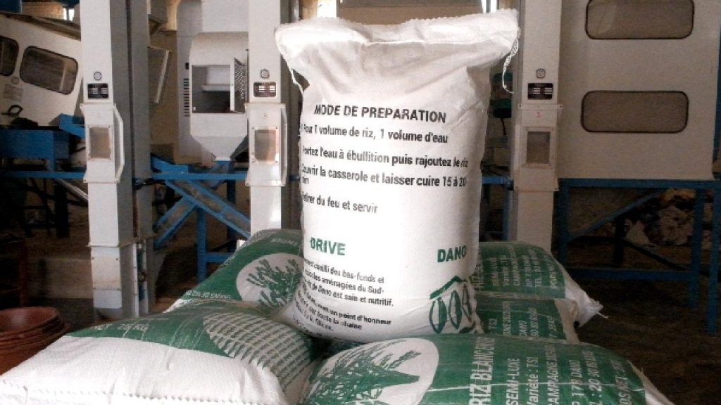 Insécurité alimentaire au Burkina Faso : la culture du riz TS2 ...